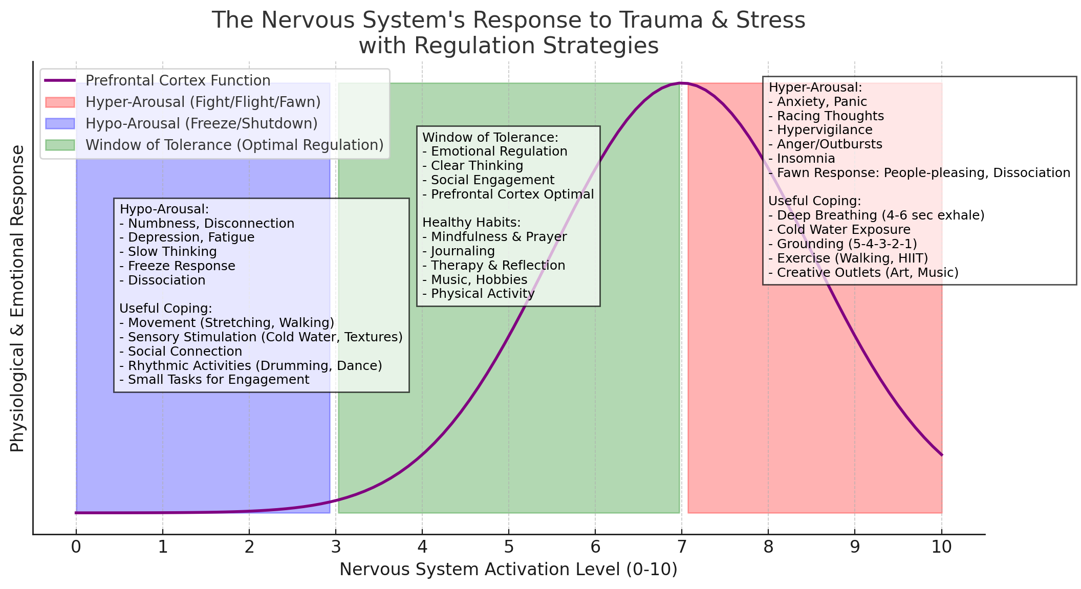 Nervous System: Trauma from a Clinical Perspective - Locker McDonald ...